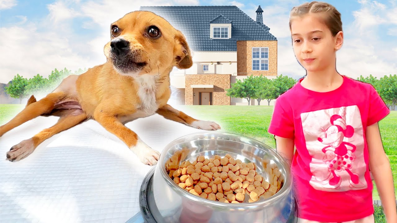 🐕 MIMI Vine ACASĂ 🏥 Ce Părere are Despre NOUA ei LOCUINȚĂ 😱 - YouTube