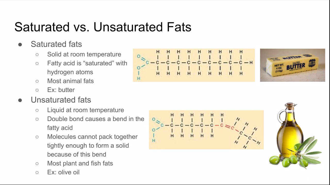 AP Biology Review Unit 2: Macromolecules - YouTube