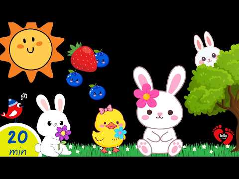 Calming Baby Sensory Video | High Contrast Nature Fun with Bunnies & Birds