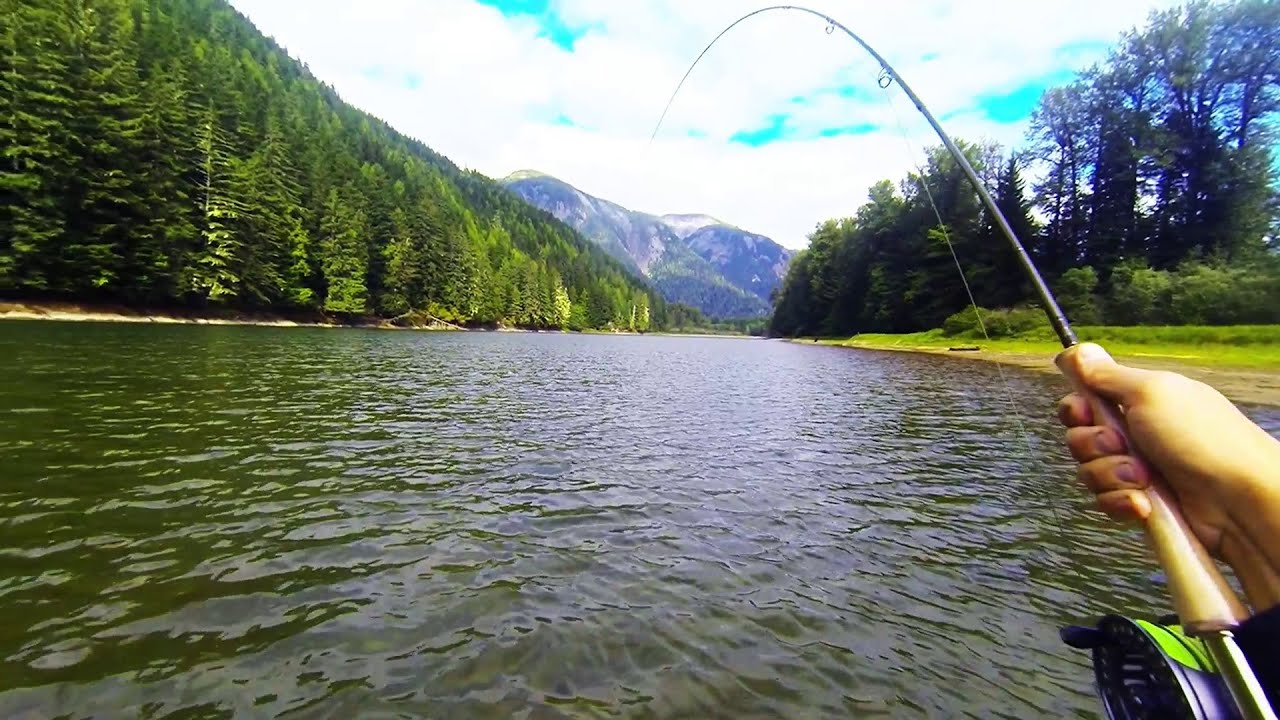 My first 12lb coho on a fly rod in Terrace, BC!!! - YouTube