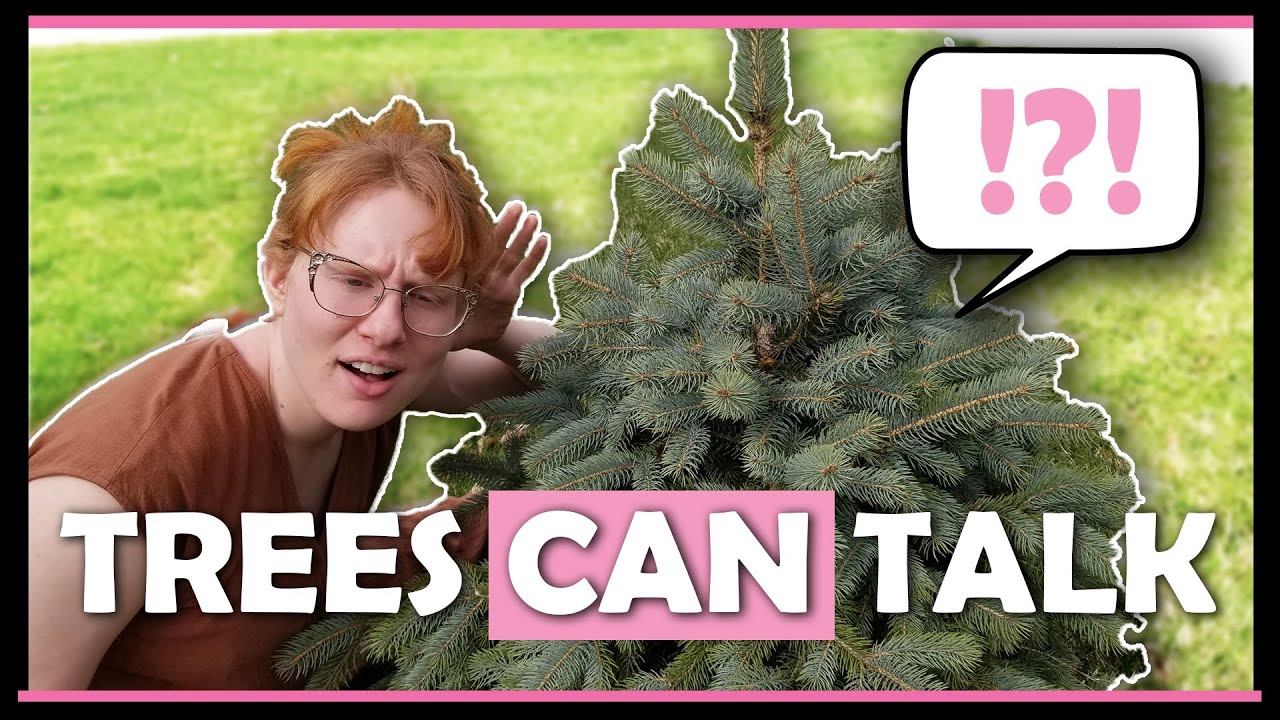 I Can Talk to Trees... Psychic Medium Speaks to Plants | Do Trees Have ...