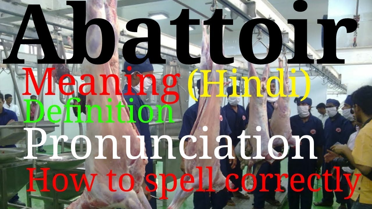 Abattoir || Meaning || Definition || pronunciation || How to spell ...