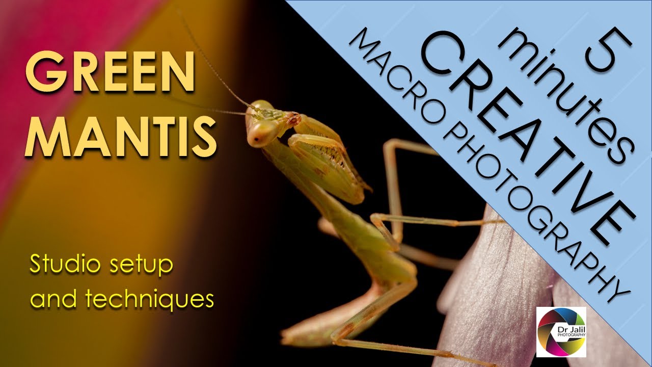 Creative Macro Photography technique in a light diffuser box. - YouTube