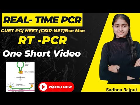 RT - PCR| Real Time PCR ll Molecule Beacon l One shot l CUET PG ll CSIR ...