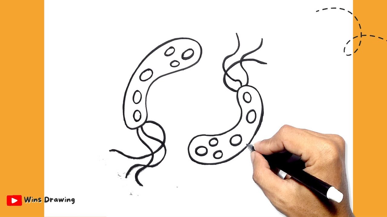 How to Draw Cholerae easy drawing - YouTube