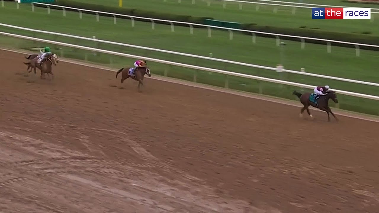 Stellar performance! THORPEDO ANNA wins the Grade 1 Acorn Stakes! - YouTube