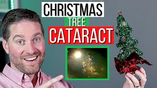 Christmas Tree Cataract