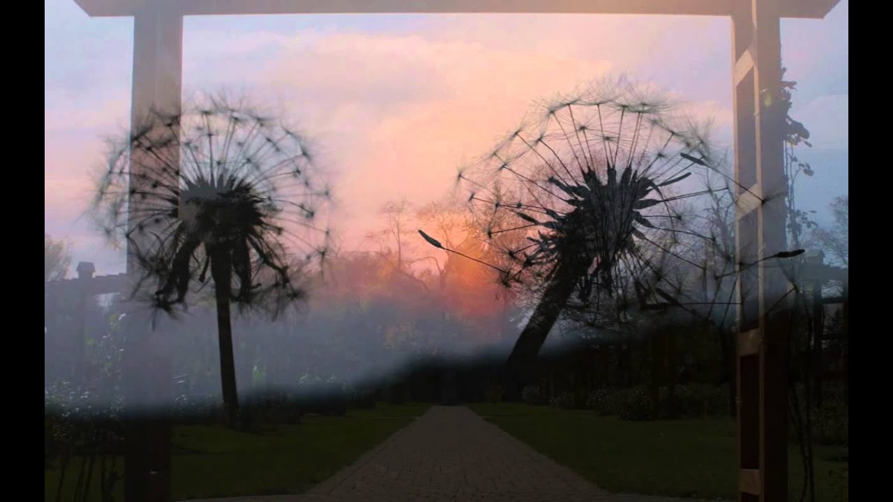 October Project - Time - The Book of Rounds - YouTube