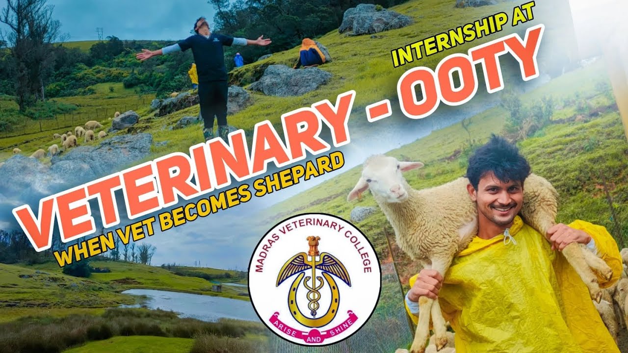 Veterinary Internship | Ooty Farm Training | Madras Veterinary College ...