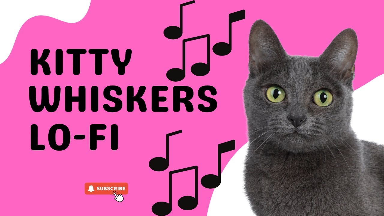 Black Kitty Cat Magic Loves Music and BitCoin Lo-fi Beats | Relax ...