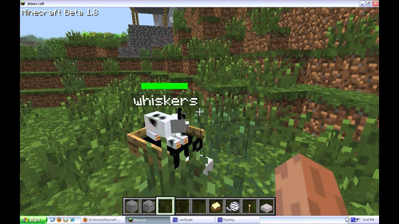 minecraft kittens - YouTube