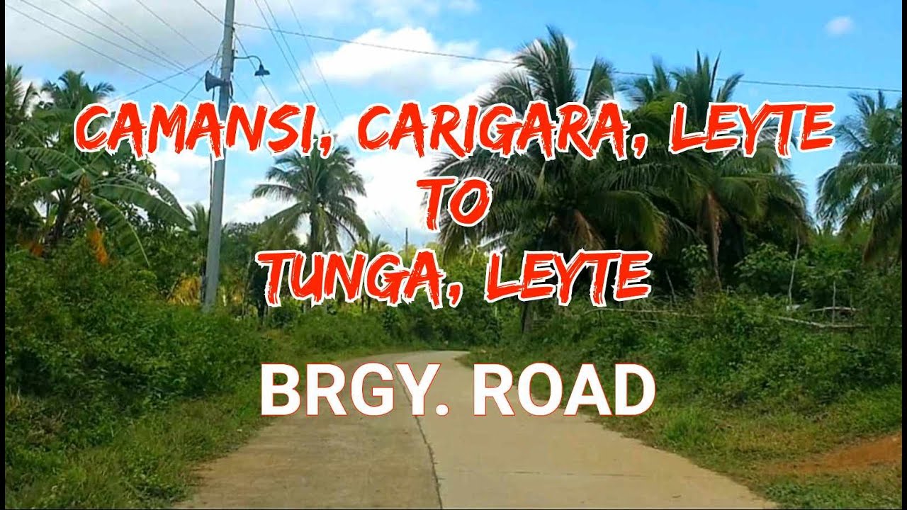 Brgy. Road (Camansi, Carigara, Leyte to Tunga, Leyte Proper) - YouTube
