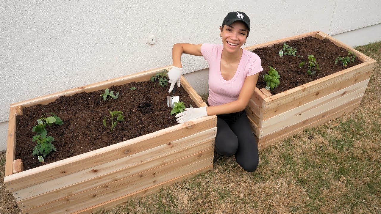 DIY Raised Garden Boxes for Beginners | My FIRST Time Planting ...