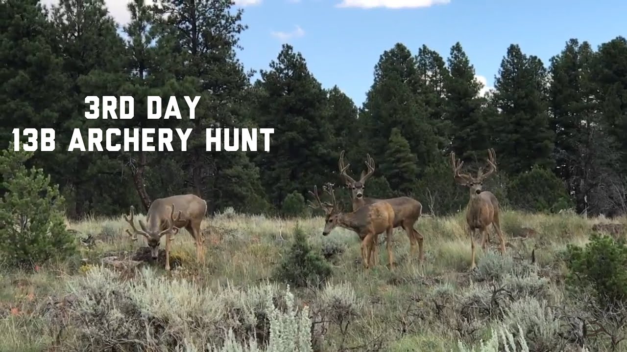 2018 Arizona Strip Archery Mule Deer Hunt Day 3! ( The Guide Life ...