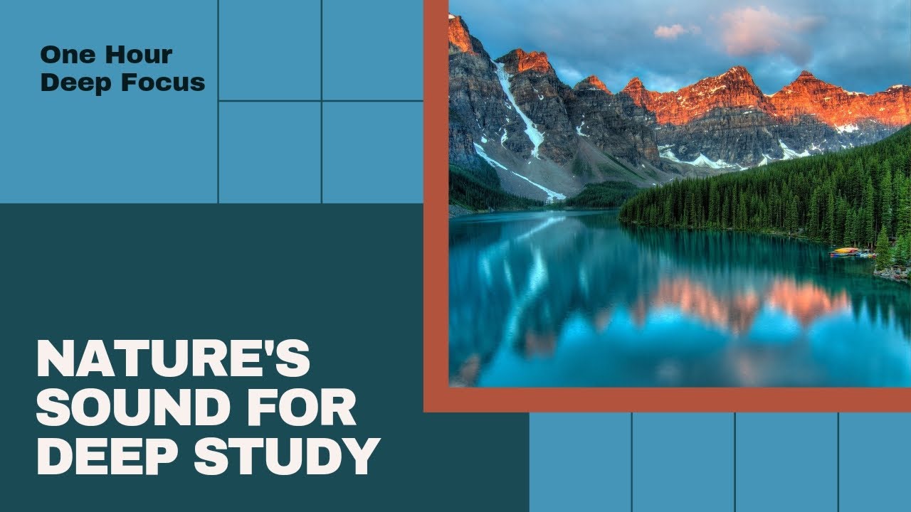 NATURE'S SOUND FOR DEEP STUDY | ONE HOUR STUDY MUSIC - YouTube