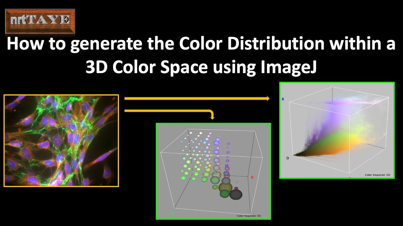 How to generate the Color Distribution within a 3D Color Space using ImageJ - YouTube