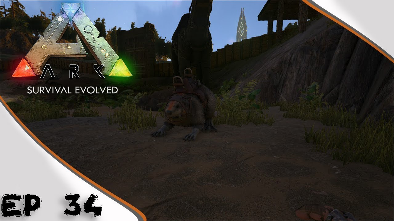 ARK SURVIVAL EVOLVED #34 MR CASTOR - YouTube