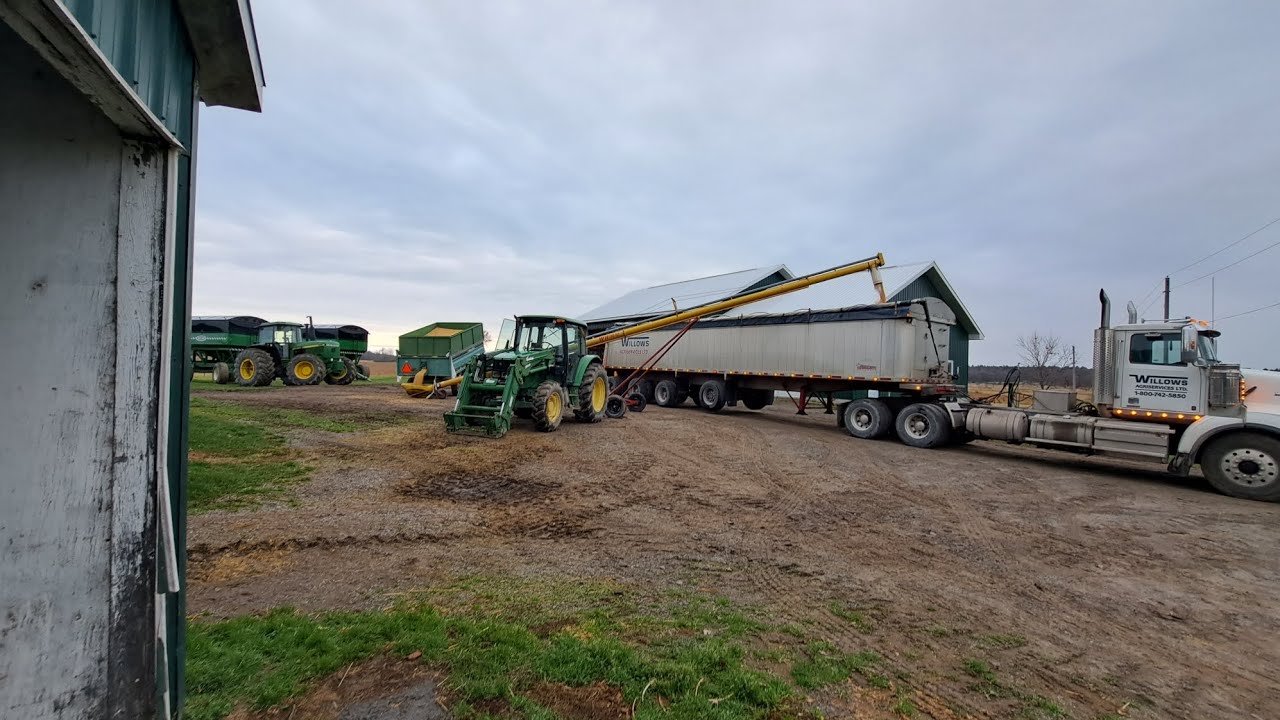 loading a truck full of soybeans and delivering hay 👨‍🌾 - YouTube