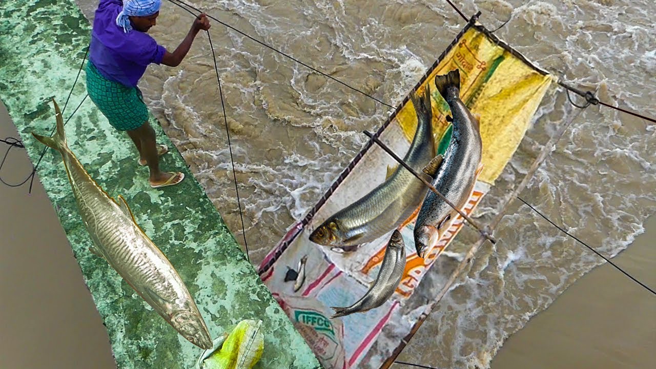 First Time in Youtube #Reverse Swimming Fish Trapping and Catching ...