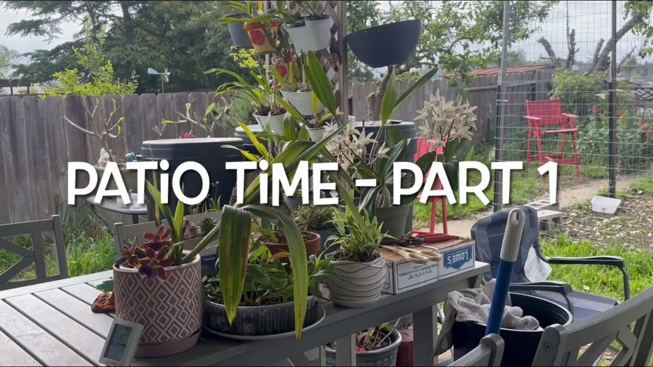 Patio time - Part 1 - April 2024 - YouTube