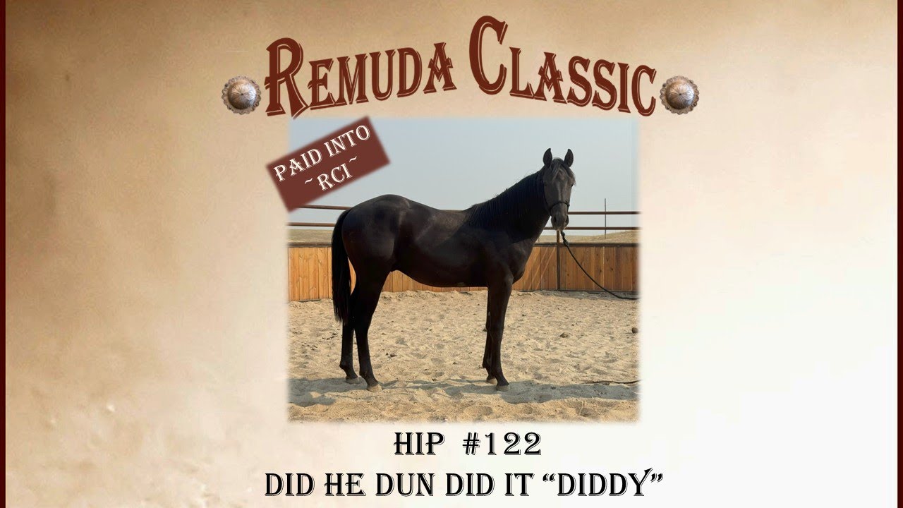 Did He Dun Did It ~ Diddy ~ Hip#122 ~ Sells Saturday, September 27th at ...