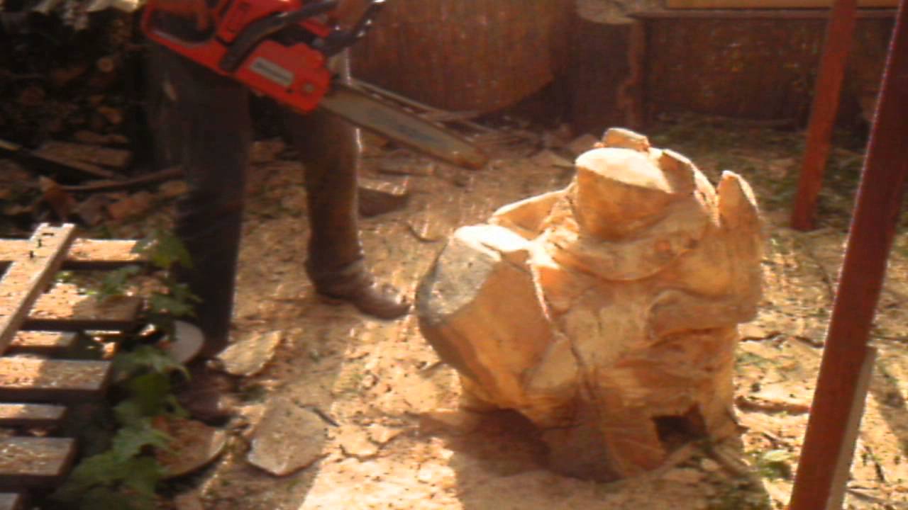 Frog riding turtle. - YouTube