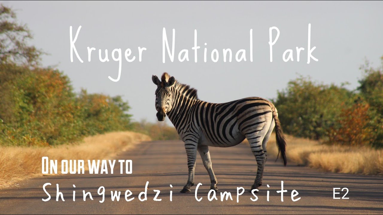 On our way to Shingwedzi Campsite | KRUGER National Park S1E2 - YouTube
