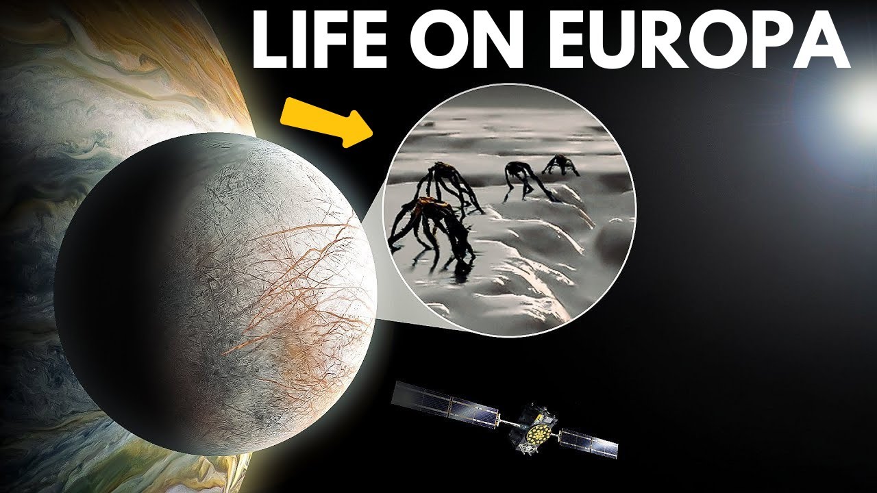 Is There Life on Jupiter's Moon? NASA Sends Probe to Search for Life on ...