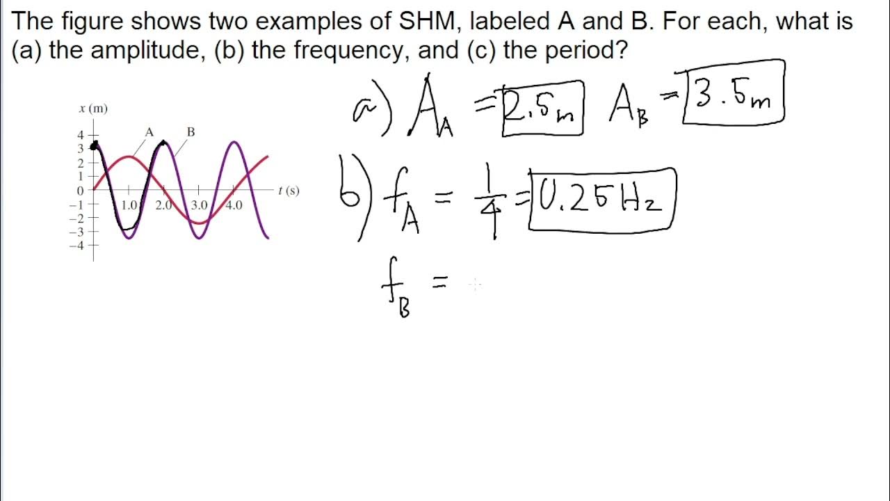 Figure 11–51 shows two examples of SHM, labeled A and B. For each, what is (a) the amplitude, (b ...