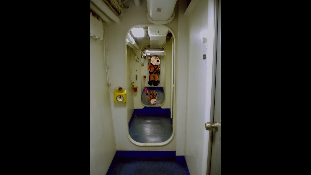 𝒫𝒾𝑔𝑔𝓎 𝒮𝑜𝓊𝓃𝒹𝓉𝓇𝒶𝒸𝓀 - 𝒜𝓇𝒸𝒽𝒾𝑒 𝒯𝒽𝑒𝓂𝑒 - (𝒮𝓁𝑜𝓌𝑒𝒹 + 𝑅𝑒𝓋𝑒𝓇𝒷) - YouTube