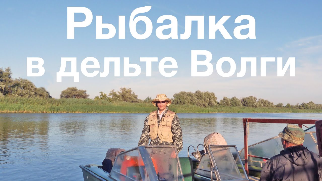 Рыбалка в дельте Волги Youtube