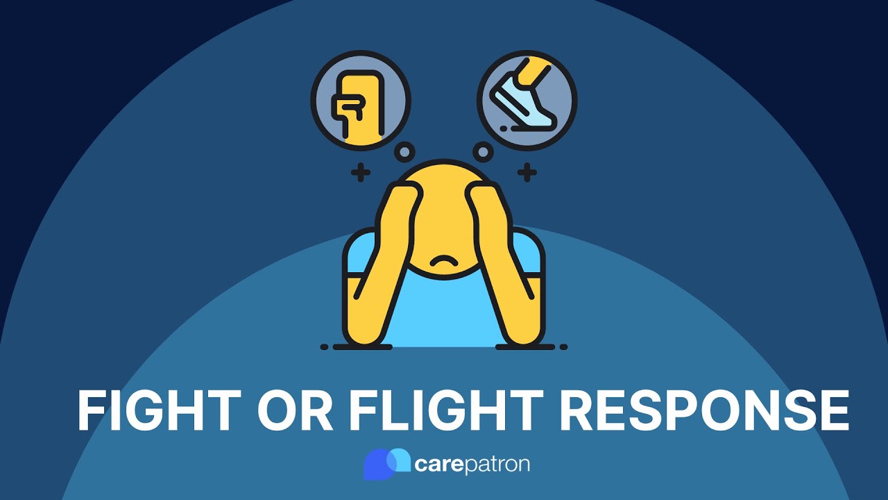 Fight or Flight Response - YouTube