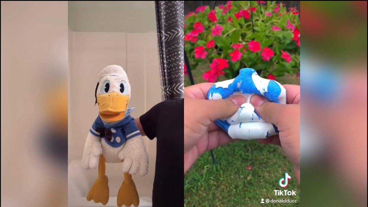 Donald Ducc Reacts To Satisfying TikToks 8 (DONT LAUGH OR SMILE ...