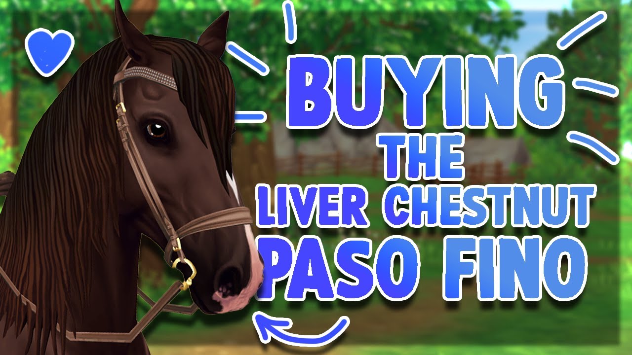 Flaxen Liver Chestnut Horse