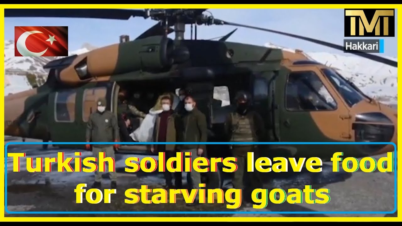 Turkish soldiers leave food for starving wild goats - YouTube