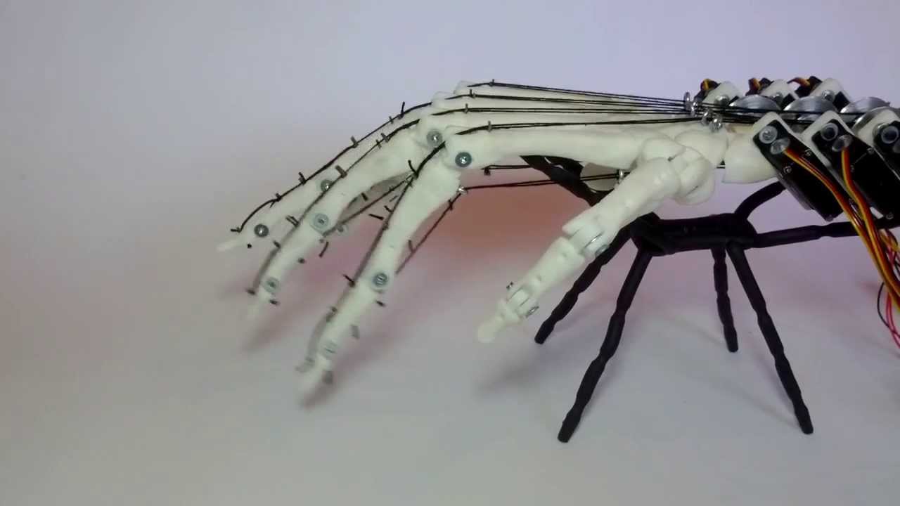 Biomechanics Hand - YouTube