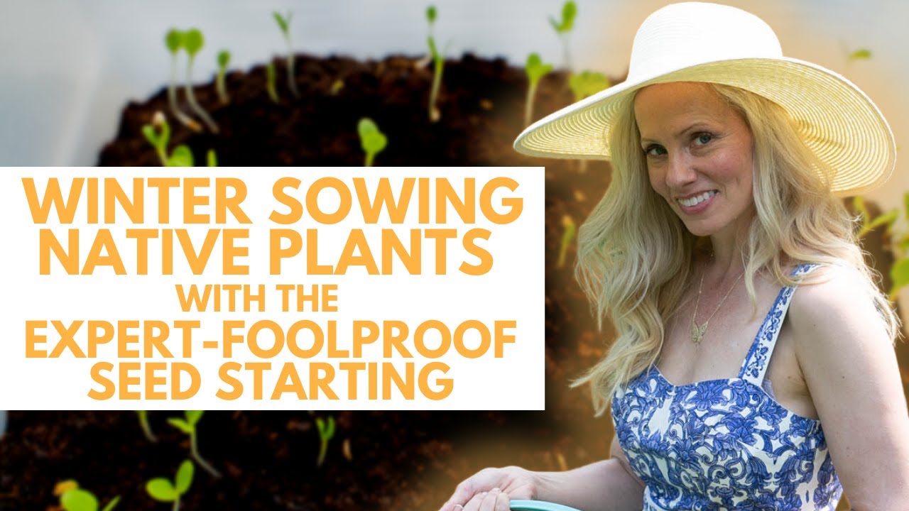 Winter Sowing Native Plants with the Expert - Foolproof Seed Starting - YouTube