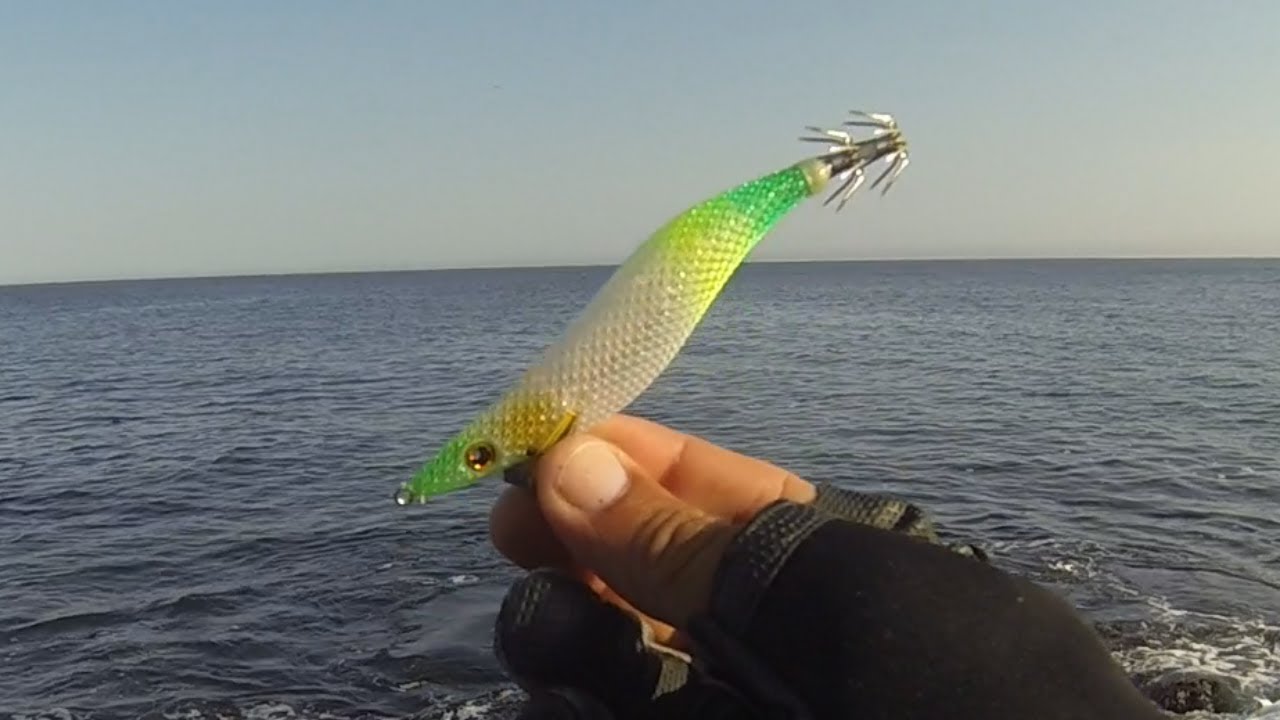 Palhaço que tirou lula na sua estreia! Pesca de choco e lula de margem ...