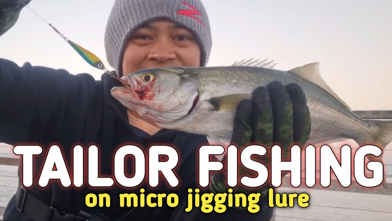 TAILOR FISHING on micro jigging(Catch and Cook) - YouTube