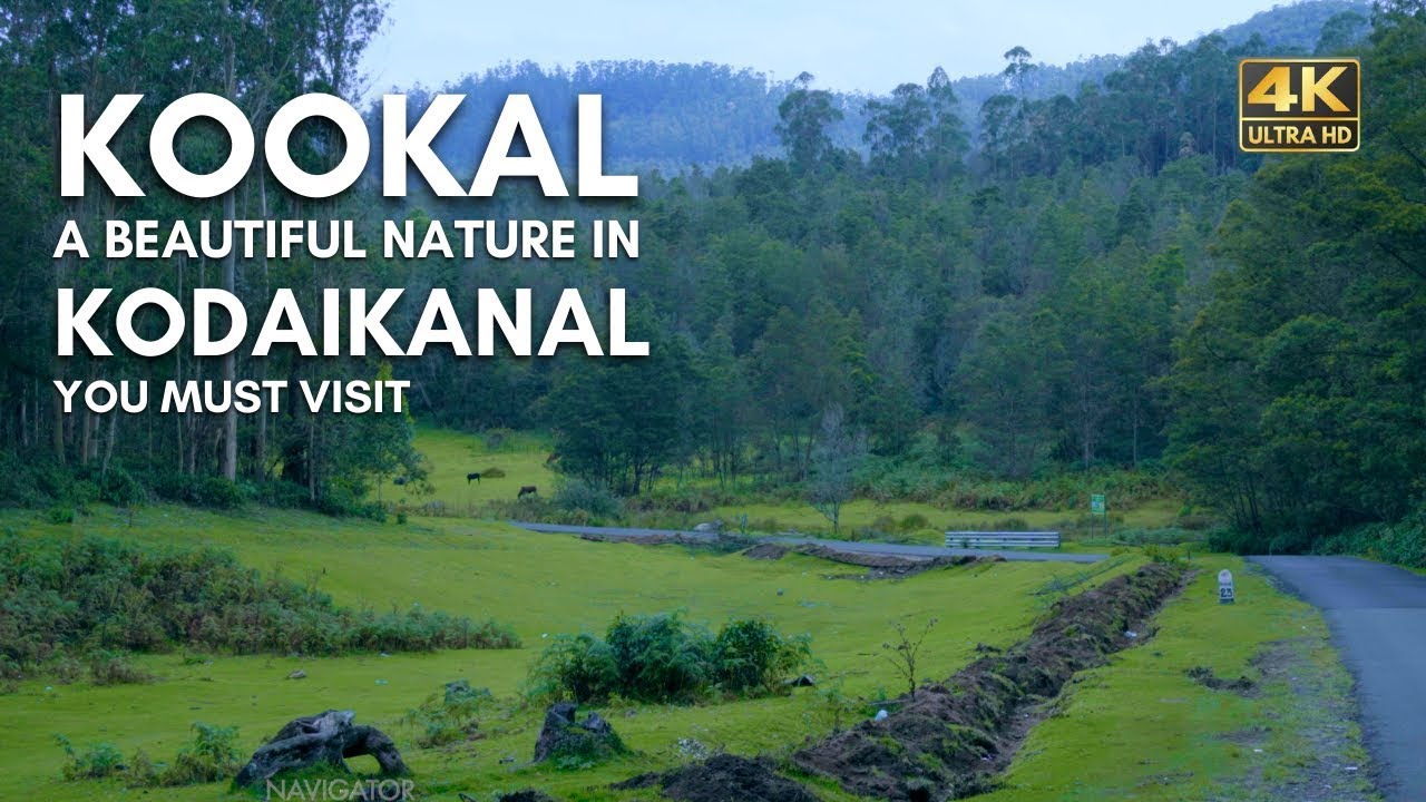 Kookal Village Best Tourist place in Kodaikanal - YouTube