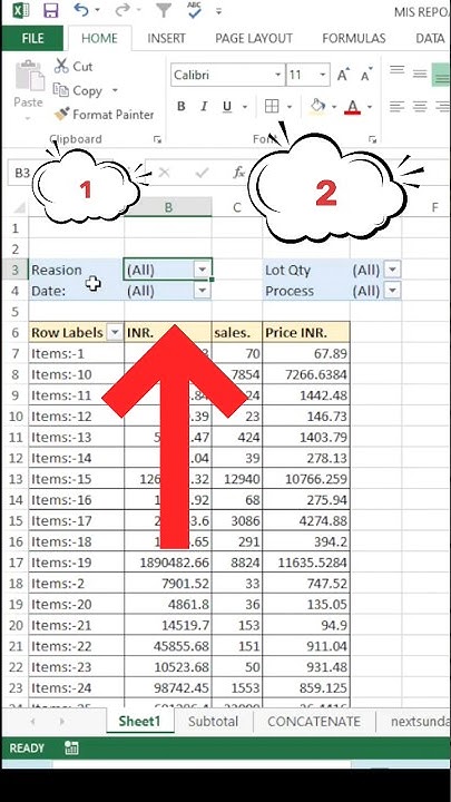 Excel Pivot Table Tutorial: How to Filter Data per Column with Report ...