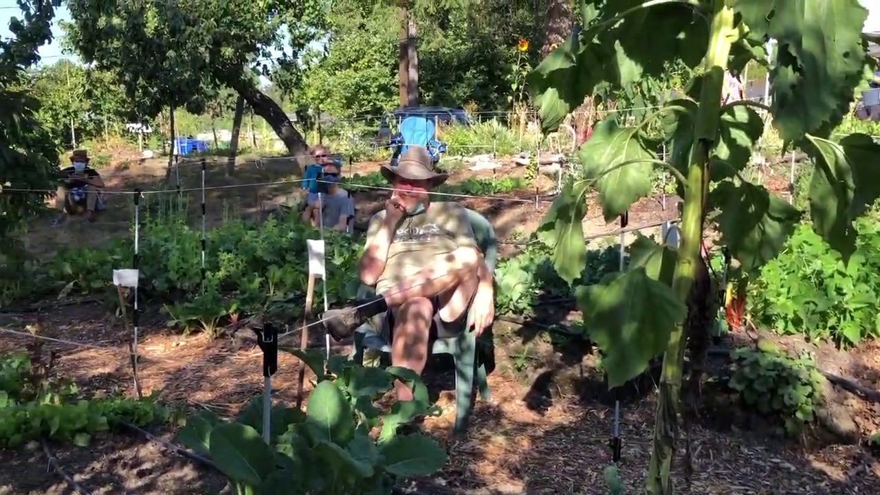 Reader video: Puget Ridge Edible Park concert - YouTube