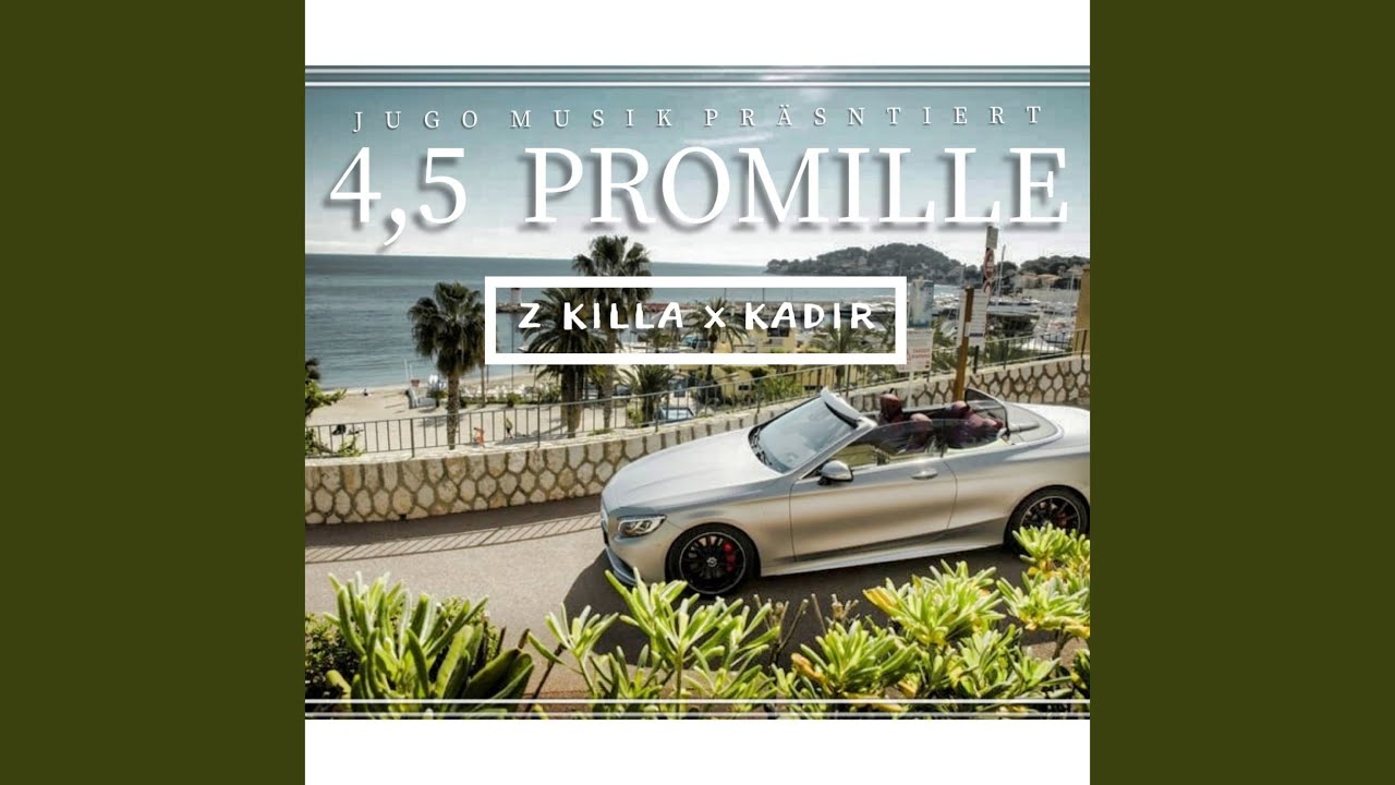 4 5 Promille YouTube