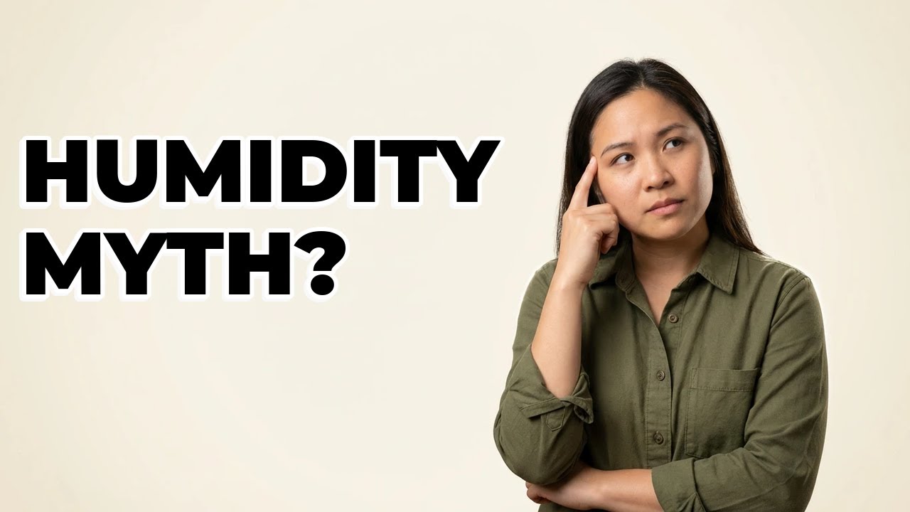 Do Pebble Trays Really Provide Enough Humidity? - YouTube