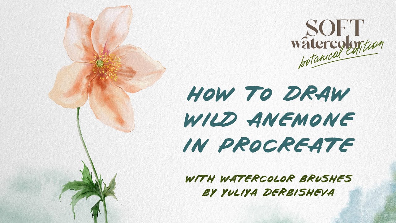 How To Draw: Watercolor Wild anemone flower Procreate Tutorial | Easy ...