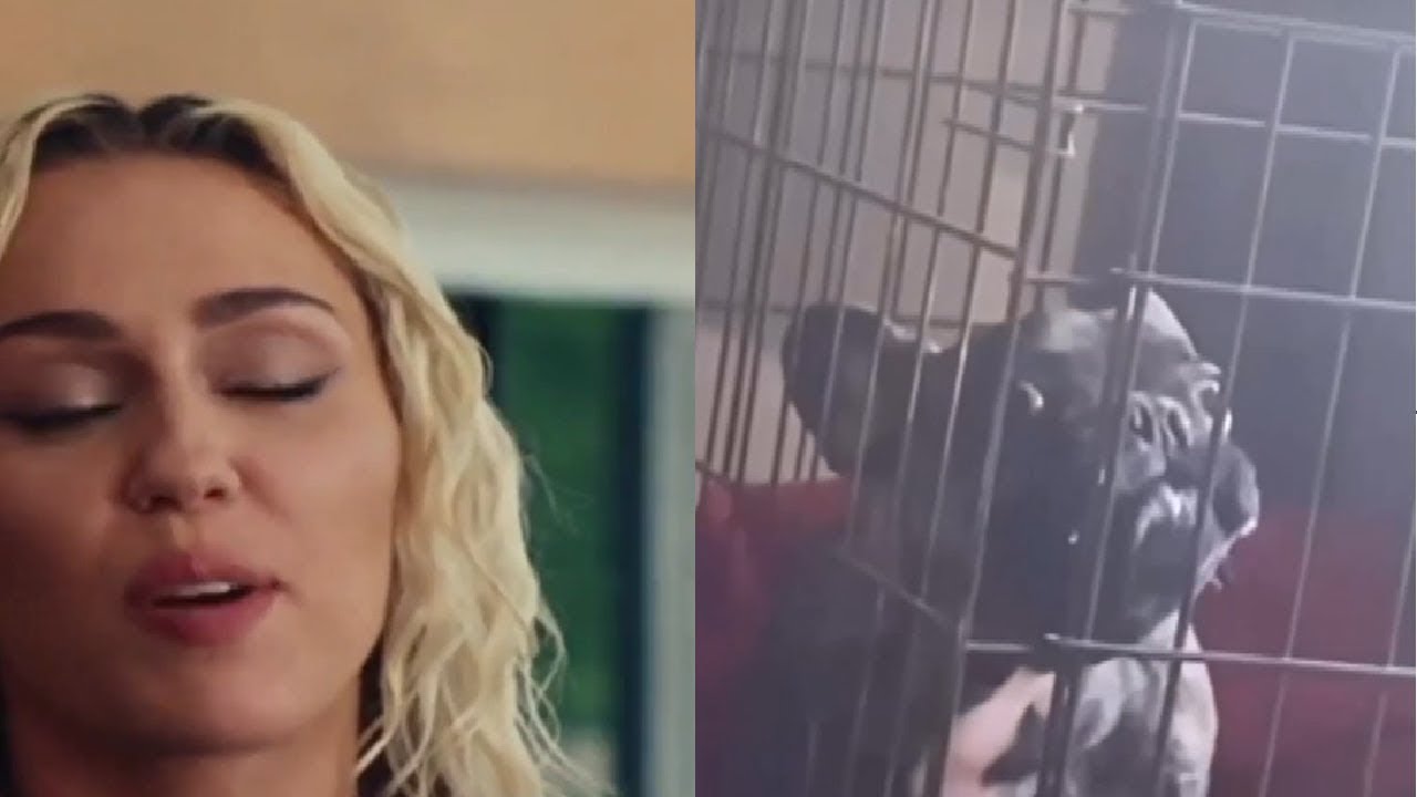 Top 15 Miley Cyrus voice memes #viral #funny #trending #youtube - YouTube