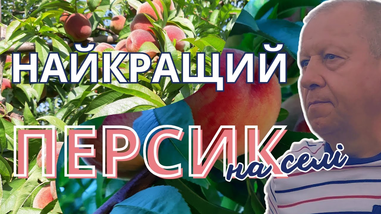 Найкращий персик на селі Youtube