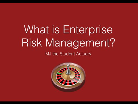 What Does An Enterprise Risk Management Actuary Do