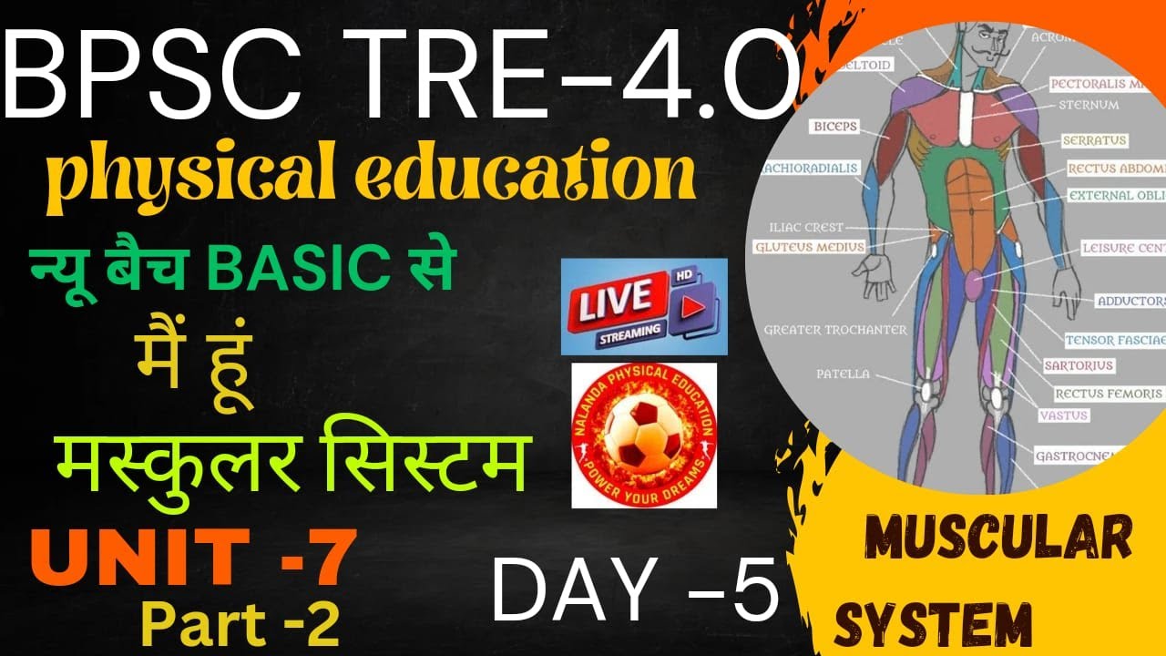 muscular system part 2 || bpsc 4.0 || physical Education #biharbpsc# ...