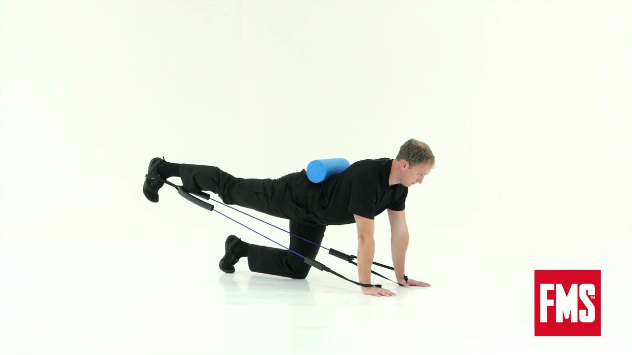 Resisted Quadruped Leg Extension with FMT Functional Movement Systems ...